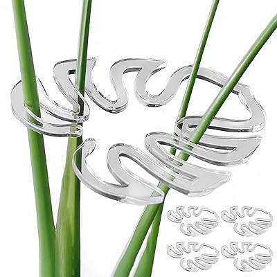 園芸支柱 植物茎サポート 4点セット モンステラ 支柱 美しい 透明 植物サポートステーク 植物をきちんと直立させます 手で調整可能 再利用可能 農業用 園芸用 屋内屋外兼用ブランド色/モデルHXN-guibeizuzhichenggan-...