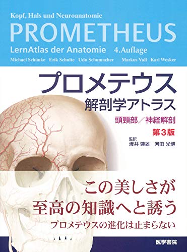 プロメテウス解剖学アトラス 頭頸部/神経解剖 第3版メーカー: 医学書院JAN: 9784260036436・中古品のため使用に影響ない程度の使用感・経年劣化（傷、汚れなど）がある場合がございます。 ・商品画像はイメージとなりますので、実際...