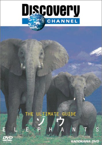 ディスカバリーチャンネル The Ultimate Guide ゾウ [DVD]ブランド: アトラスメーカー: 角川書店JAN: 4997766601977・中古品のため使用に影響ない程度の使用感・経年劣化（傷、汚れなど）がある場合がござい...