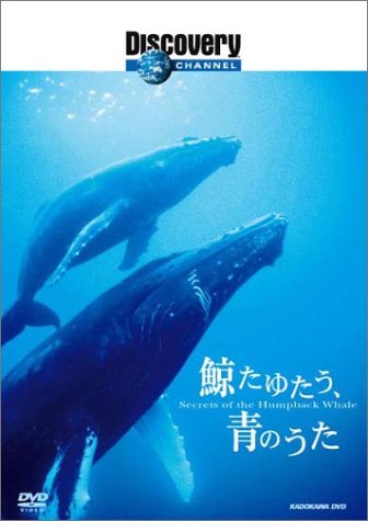 ディスカバリーチャンネル 鯨たゆたう、青のうた [DVD]ブランド: KADOKAWAメーカー: 角川書店JAN: 4997766607382・中古品のため使用に影響ない程度の使用感・経年劣化（傷、汚れなど）がある場合がございます。 ・商品...
