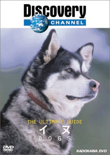 ディスカバリーチャンネル The Ultimate Guide イヌ [DVD]ブランド: アトラスメーカー: 角川書店JAN: 4997766603315・中古品のため使用に影響ない程度の使用感・経年劣化（傷、汚れなど）がある場合がござい...