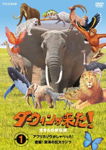 ダーウィンが来た!生き物新伝説 第1巻 [DVD]ブランド: MOTOWOLFメーカー: ビクターエンタテインメントJAN: 4988002516247・中古品のため使用に影響ない程度の使用感・経年劣化（傷、汚れなど）がある場合がございます...