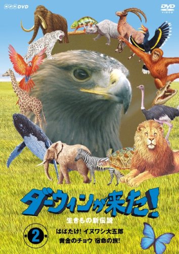 ダーウィンが来た!生き物新伝説 第2巻 [DVD]ブランド: MOTOWOLFメーカー: ビクターエンタテインメントJAN: 4988002516254・中古品のため使用に影響ない程度の使用感・経年劣化（傷、汚れなど）がある場合がございます...