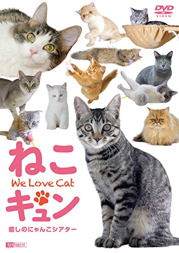 シンフォレストDVD ねこキュン 癒しのにゃんこシアター We Love Catブランド: 竹緒メーカー: 竹緒JAN: 4945977201509・中古品のため使用に影響ない程度の使用感・経年劣化（傷、汚れなど）がある場合がございます。 ...
