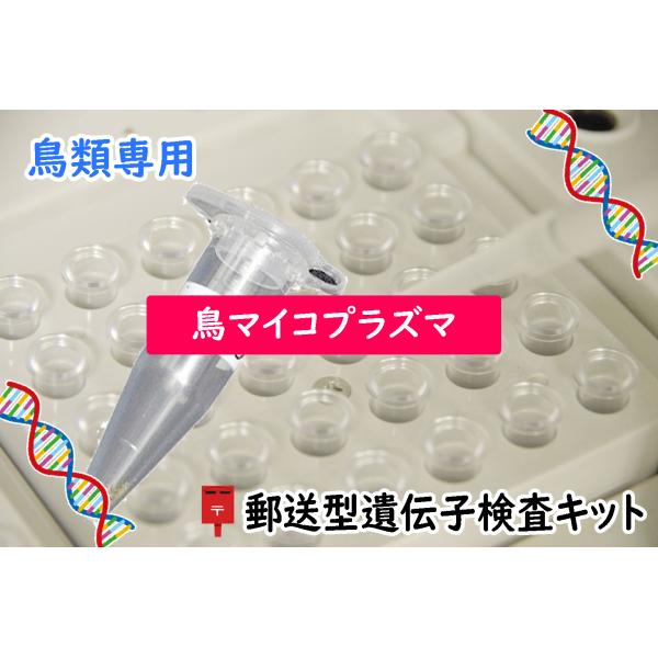 ●1キットにつき1羽の検査可能です ●検査キットには有効期限があります（約1ヶ月） 愛鳥の糞便を採取して郵送するだけで遺伝子検査を簡単に受けることができます 結果は検体受領日から10日以内にEメールでご連絡（書面OK） 検出方法　遺伝子検査...