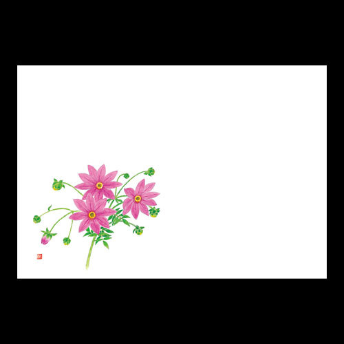 商品情報サイズ38×26cm枚数100枚入り素材無蛍光モニターの発色具合により、実際のものと色が異なる場合がございます。38cm上質紙マット　皇帝ダリア　201-10241(Z107-402)テーブルマット ランチョンマット 紙 紙製 ペー...