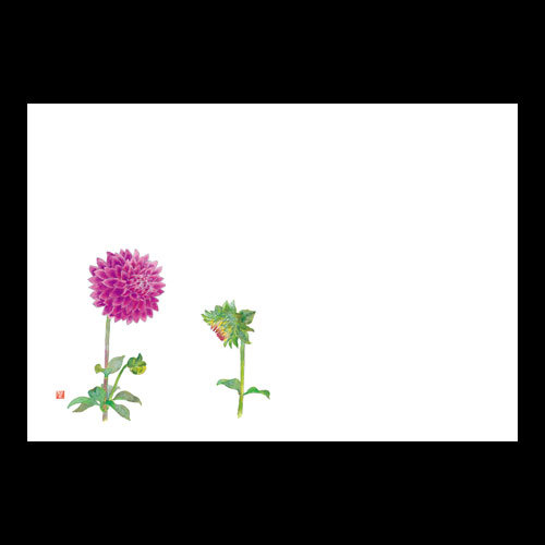 商品情報 サイズ 38×26cm枚数 100枚入素材 雲竜紙 モニターの発色具合により、実際のものと色が異なる場合がございます。尺3雲竜和紙マット　ダリア　Z117-429テーブルマット ランチョンマット 紙 紙製 ペーパー 業務用 和食 ...