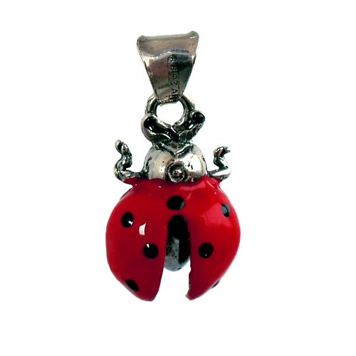 サイズ 約3.2cm（バチカン含む） 素材 シルバー800 メーカー I GEMELLI（イタリア） 宝飾加工や銀細工の歴史で名高いイタリアのアレッツォで生まれたペンダントトップです。素材はドイツやイタリアで主流とされている少し固めなシルバ...