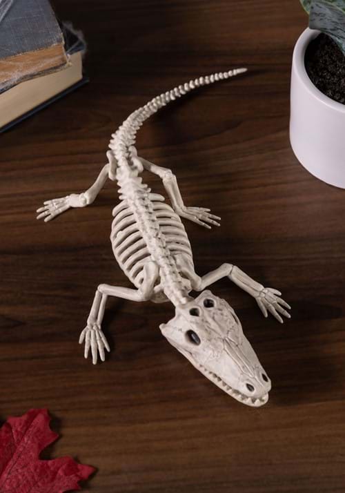 商品説明 主な機能/スペック・成形プラスチック製のスケルトン・サイズ：約25.4cm(L) x 12.7cm(W) x 5.1cm(H)・可動部分なしご注意事項・商品の色・デザインが異なる場合があります・説明書が付属する場合は、英語表記にな...