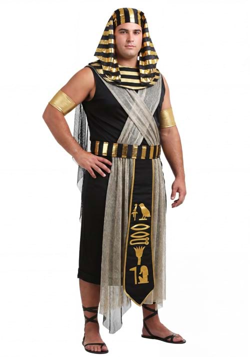 古代エジプトのファラオをイメージしたメンズコスプレ衣装です。ハロウィン、仮装パーティー、舞台衣装に最適な本格的なデザインです。 ▶ セット内容 ✓ ジャンプスーツ（襟とドレープ付き） ✓ ケープ &#...