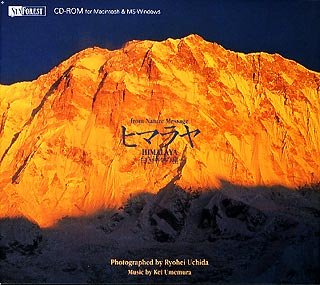 【メーカー名】シンフォレスト【メーカー型番】【ブランド名】シンフォレスト掲載画像は全てイメージです。実際の商品とは色味等異なる場合がございますのでご了承ください。【 ご注文からお届けまで 】・ご注文　：ご注文は24時間受け付けております。・...