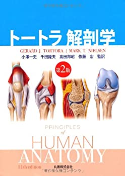 【メーカー名】丸善【メーカー型番】【ブランド名】掲載画像は全てイメージです。実際の商品とは色味等異なる場合がございますのでご了承ください。【 ご注文からお届けまで 】・ご注文　：ご注文は24時間受け付けております。・注文確認：当店より注文確...