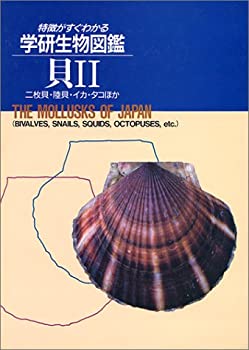 【メーカー名】学研プラス【メーカー型番】【ブランド名】掲載画像は全てイメージです。実際の商品とは色味等異なる場合がございますのでご了承ください。【 ご注文からお届けまで 】・ご注文　：ご注文は24時間受け付けております。・注文確認：当店より...