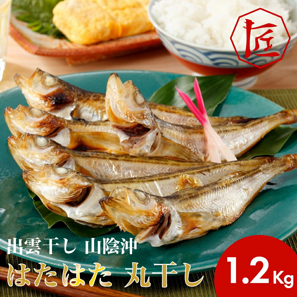 【商品について】島根県出雲市の渡邊水産が手間暇かけて仕上げた、はたはたの丸干し。山陰沖で水揚げされた新鮮なはたはたの旨みを塩のみでグッと引き出し、しっかり乾燥させました。じっくり焼き上げると香ばしく、やわらかく食べられます。商品名出雲干し ...