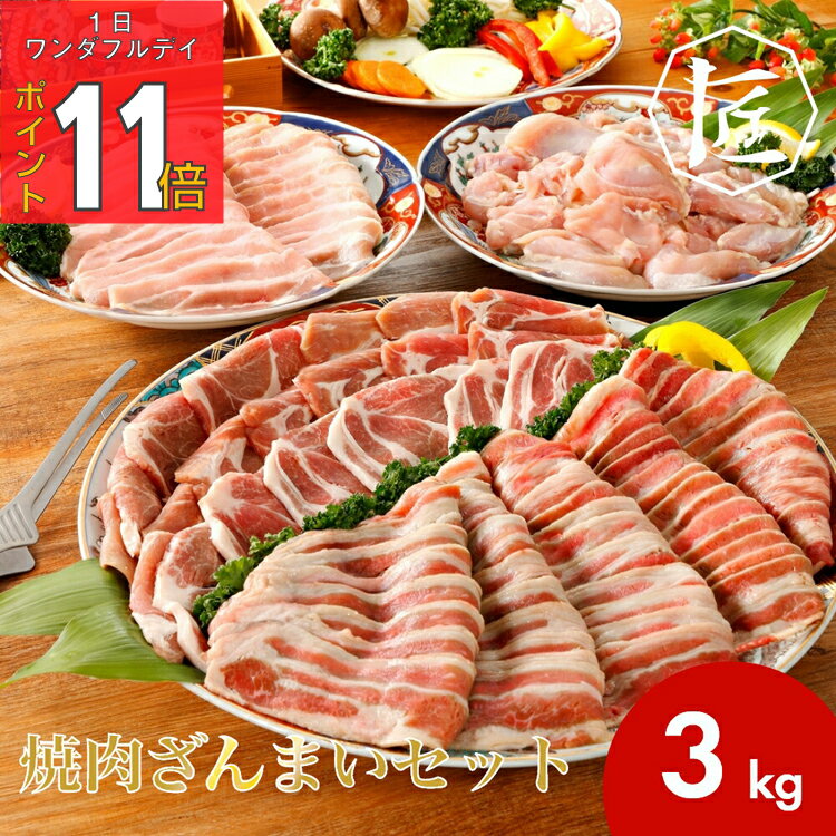 商品名焼肉ざんまいセット計3キロ内容量計3kg牛カルビ500g×2袋、豚肩ロース焼肉用500g×2袋、厚切豚バラ500g、鶏モモカット500g配送種別冷凍便注意事項※撮影の都合上、商品の色合い等が現物と異なる場合がございます。※写真は調理盛...