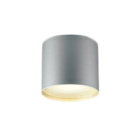 LED(電球色)色温度：2700K演色性：Ra93消費電力：6W光束：535lmランプ：LEDランプLDF6（GX53）本体：アルミダイカスト・サテンシルバー塗装パネル：アクリル・透明消し高-82 幅-φ96mm 重-0.4kg●IP65●...