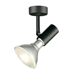ランプ別売ブラックLED電球ビーム球形14.1W（E26）アルミダイカスト0.9kg壁面・天井面・傾斜面取付兼用調光器不可傾斜取付90°可能照射面近接限度10cm検索用カテゴリ8【LED照明】 【ランプ別売】 【非調光】