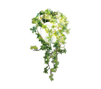 電球色定格光束：264lm定格消費電力：4WRa942700KLED電球ミニクリプトン形4W（E17）No.292JL鋼線（マットホワイト色）フェイクグリーン付巾180・高180・出139・0.6kg調光器不可8VA(100V)LEDランプ...