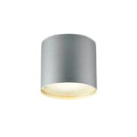 LED(電球色)色温度：2700K演色性：Ra93消費電力：6W光束：535lmランプ：LEDランプLDF6（GX53）本体：アルミダイカスト・サテンシルバー塗装パネル：アクリル・透明消し高-82 幅-φ96mm 重-0.4kg●IP65●...
