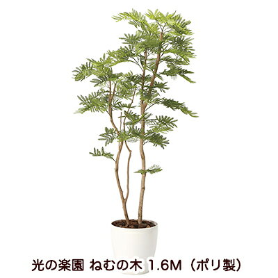 【特記事項】※ディスプレイにより商品の色が実際の色と異なる場合があります。予めご了承ください。※商品お受け取り後の、イメージ違いなどによるご購入者様のご都合での返品・交換はお受けいたしかねます。商品についてご不明な点などございましたら、ご注...