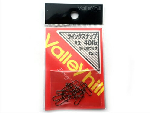 高弾性バネ材採用の小型軽量スナップ。ルアーアクションの自由度が高まる。とにかく軽いため、ルアーのバランスに影響しない。　　※画像はイメージです。カラー、サイズ等が異なる場合があります高弾性バネ材採用の小型軽量スナップ。ルアーアクションの自由...