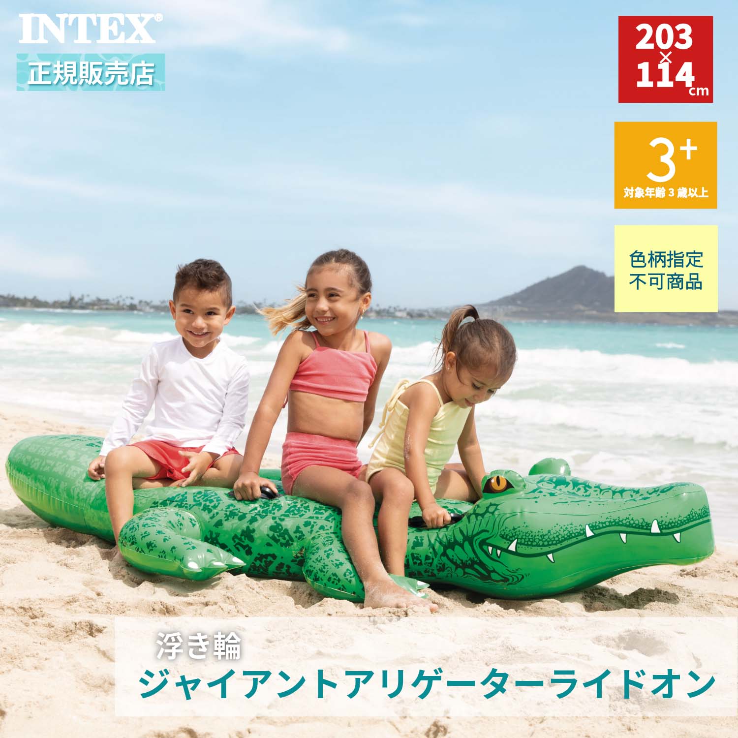 【商品概要】 空気室2個、空気栓は栓と弁の2重構造で安全 丈夫なビニール素材 左右に4つの取っ手ハンドル付 修理用パッチ付属 ご注意:子供の一人遊びは危険です。 必ず保護者のもとで背の立つ深さのところで遊ばせてください。 小さな部品が含まれ...
