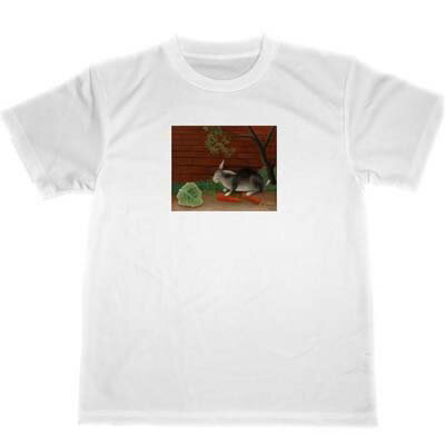 着心地の良い、ポリエステル100％のドライTシャツになります。生地と完全同化する特殊な方法でプリントされておりますので、スポーツ時も気になりませんし色落ちもほぼございません。　Tシャツのボディは同レベルのものでタグは随時かわります。大きさは...