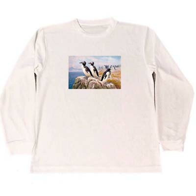 着心地の良い、ポリエステル100％のドライTシャツになります。生地と完全同化する特殊な方法でプリントされておりますので、スポーツ時も気になりませんし色落ちもほぼございません。　Tシャツのボディは同レベルのものでタグは随時かわります。大きさは...