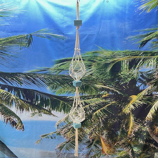 商品紹介癒しの時間です、忙しい仕事を終え家に帰るとこんなに可愛い植物たちが、と言う思いを更に上げるアイティムです。 レトロ調、シャビー風BEACHインテリアfeelthesea海を感じる雑貨マリンインテリアお部屋やショップのディスプレイ多肉...