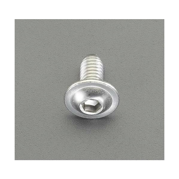 特徴 ●材質…ステンレス ●並目ねじ ●サイズ…M6×15mm ●入数…4本 仕様 サイズ スイッチボックス 入数 4本 EA949MN615
