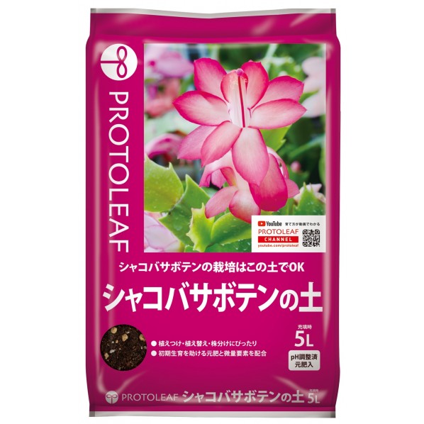 特徴 名前から砂漠に育つ植物かと思いがちですが、実は着生の植物なのです。 「プロトリーフ サボテン・多肉植物の土」とは異なり、排水性を重視した配合になっています。 シャコバサボテンは4月〜5月中旬までには植え替えを行います。 春には葉摘みを...