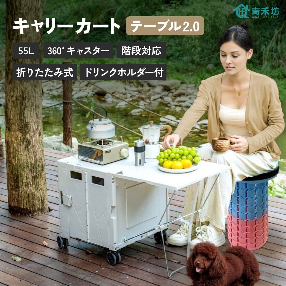 海外購入の注意事項 ・当店でご購入された商品は、原則として、「個人輸入」としての取り扱いになり、台湾からお客様のもとへ直送されます。 ・個人輸入される商品は、全てご注文者自身の「個人使用・個人消費（日本に居住する者に寄贈される物で、当該寄贈...