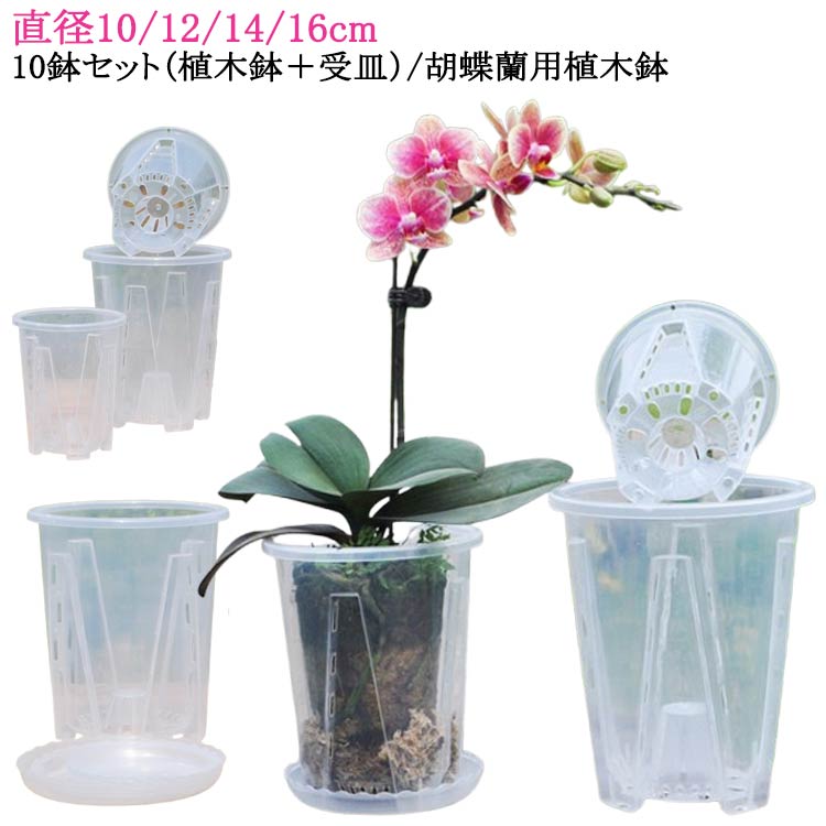 直径10/12/14/16cm10鉢セット（植木鉢＋受皿）/胡蝶蘭用植木鉢鉢底とサイドに穴がたくさん空いているため通気性に優れています。鉢の中についた柱は胡蝶蘭の根腐れを防止できます。観葉植物の植え替えにお勧め！透明なので、生育中の根の動き...