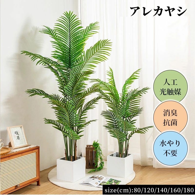 ＜おすすめのアイテム＞ オリーブの木 観葉植物 80/120/150/180/210cm7,880円観葉植物 ウンベラータ 110/120/160/170/200cm9,800円観葉植物 ドウダンツツジ 130/150/180/220cm8...