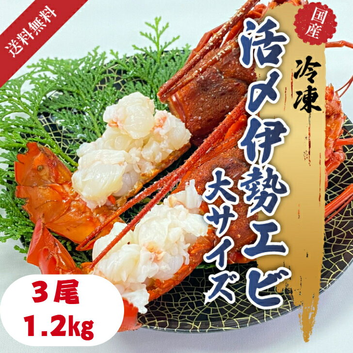 【活〆冷凍 伊勢海老】通販 安い 取り寄せ 贈答用 ギフト 国産伊勢海老 伊勢海老殻付き 三重 日本 国産 三重県 2尾 700g 鮮度 簡単 冷凍保存 伊勢海老 バーベキュー グラタン えび うまい 値段 名産地 縁起物 ホイル 浜焼き ...
