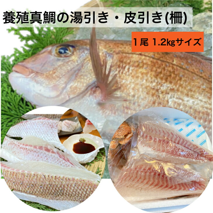 商品情報名称鯛姿造り（湯引き柵・皮なし柵）内容量約750g（身の部分は約350g）真鯛は1．2kgサイズを使用産地名三重県養殖・解凍の別養殖保存方法冷蔵（5度以下）で保存消費期限発送日から5日以内加工業者有限会社ケイ・エフ・エスその他鯛の身...