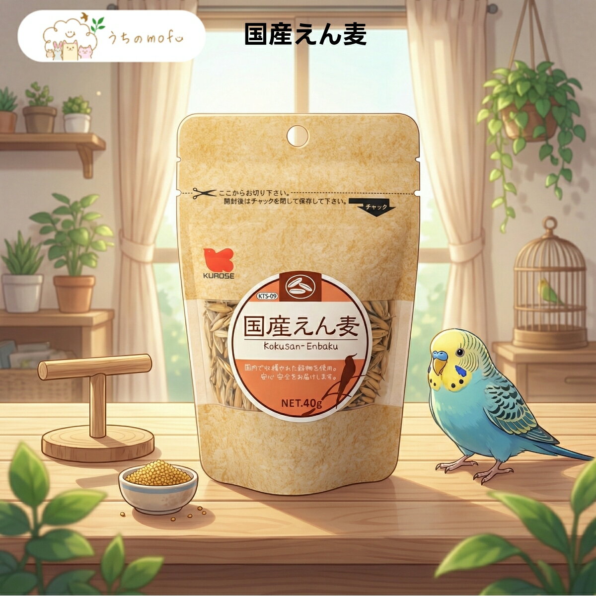 【 #1 商品情報(内容)】商品名商品名:$【黒瀬ペットフード】国産えん麦 40g x10個 中型インコ 大型インコ オウム ハムスター リス 小鳥 小動物 フード 穀物 国内産 農薬不使用栽培 殻付き 自然派 おやつ uchino mof...