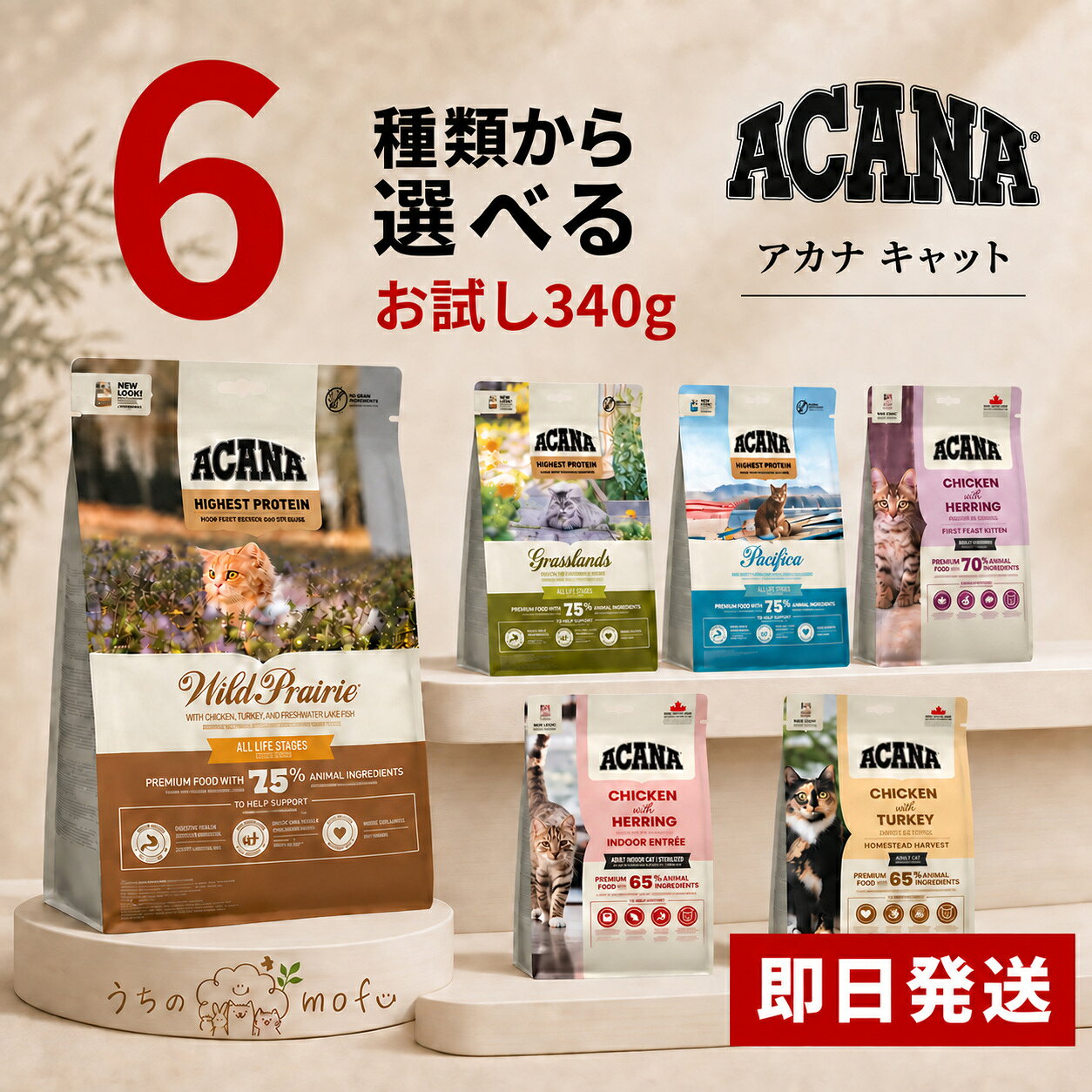 【 #1 商品情報(内容)】商品名商品名:アカナ キャットフード お試し 340g 選べる6種類 グラスランドキャット パシフィカキャット ワイルドプレイリーキャット インドアエントリー(室内猫用) ファーストフィースト(子猫用) ホームス...