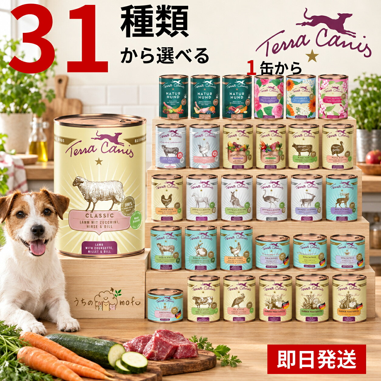 ドイツのプレミアムペットフードブランド「テラカニス（Terra Canis）」の犬用缶詰を、9シリーズ・全31種類から味と缶数（1缶・3缶・6缶・12缶・24缶）でお選びいただけるページです。 商品名 テラカニス 犬用 缶詰 全31種類 1...