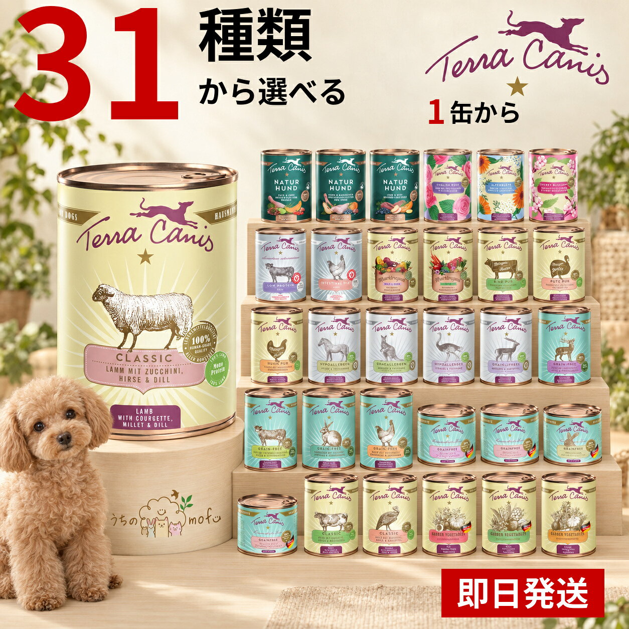 ドイツのプレミアムペットフードブランド「テラカニス（Terra Canis）」の犬用缶詰を、9シリーズ・全31種類から味と缶数（1缶・3缶・6缶・12缶・24缶）でお選びいただけるページです。 商品名 テラカニス 犬用 缶詰 全31種類 1...