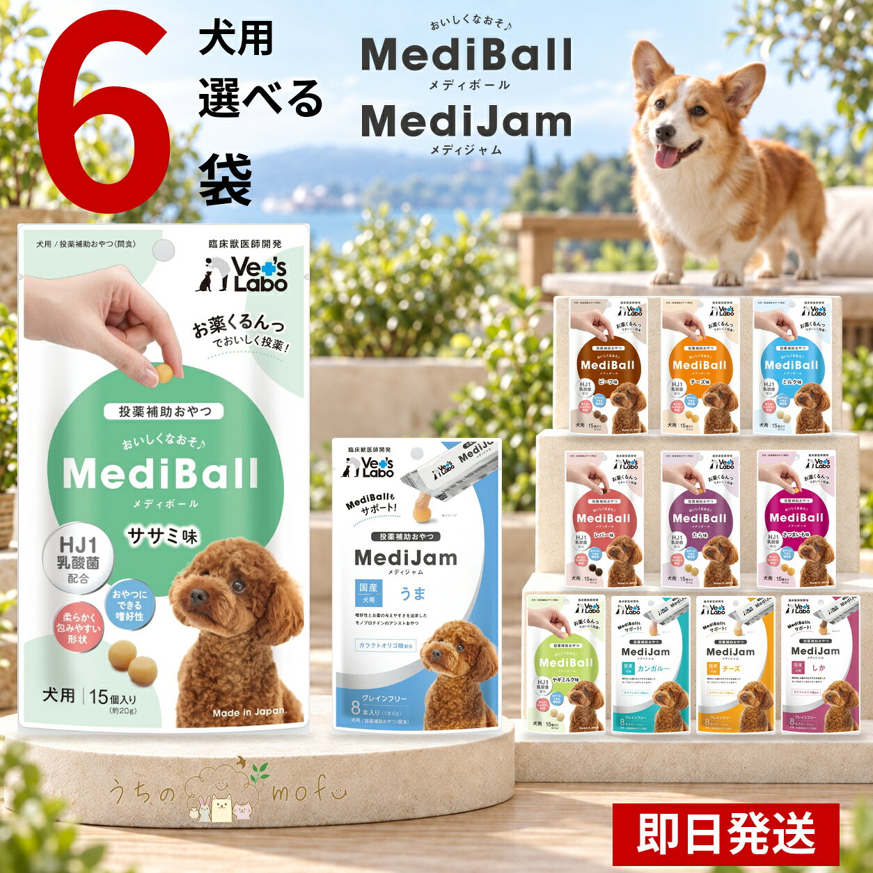商品詳細（番号は次の商品に対応します）1. メディボール 犬用 ササミ味2. メディボール 犬用 ビーフ味3. メディボール 犬用 チーズ味4. メディボール 犬用 ミルク味5. メディボール 犬用 レバー味6. メディボール 犬用 たら味...