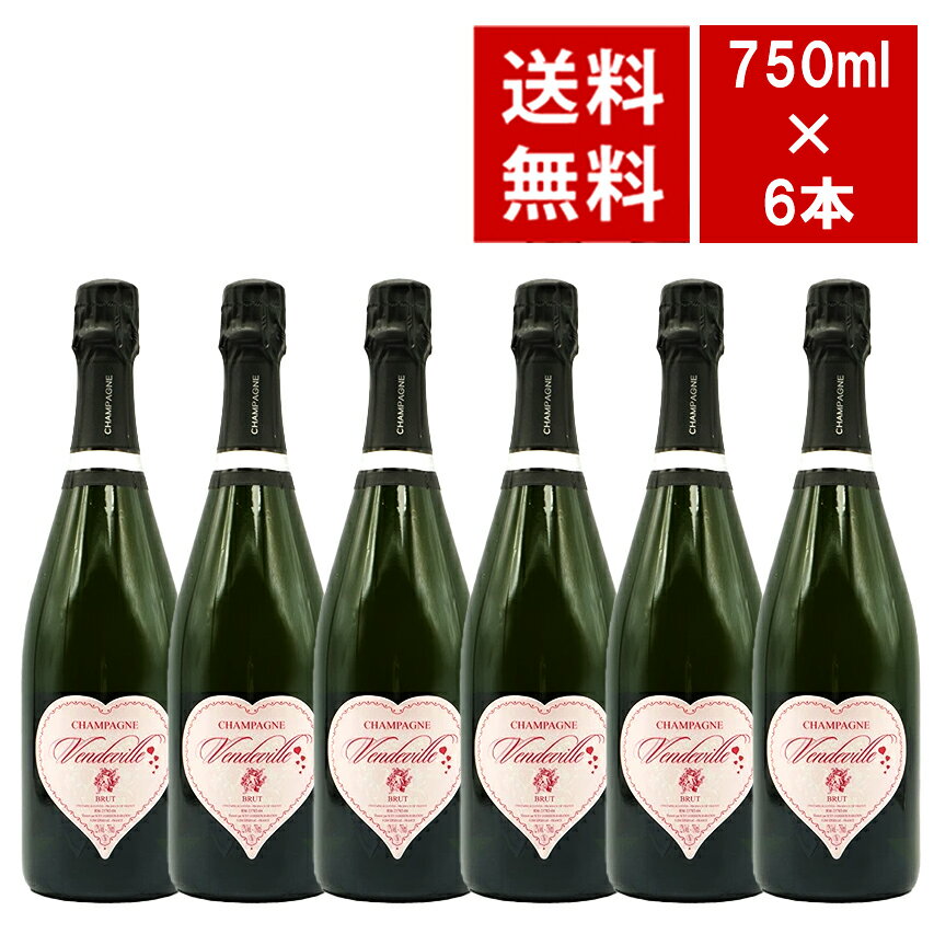 ■商品名【送料無料・6本セット】ジャニソン・バラドン・エ・フィス・V・ヴァンドヴィル・R.M・AOC シャンパーニュ・自然派・リュット・アンテグレ認証・ワインセット ■英名Champagne Janisson-Baradon Vendevi...