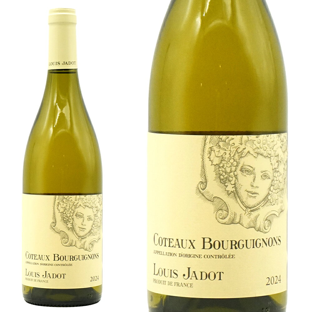 &nbsp; ■ワイン名 コトー・ブルギニョン ブラン [2024]年 ルイ・ジャド社 ■英語表記 Coteaux Bourguignons Blanc [2024] Louis Jadot ■商品番号 0102102003078 ■ワイン...