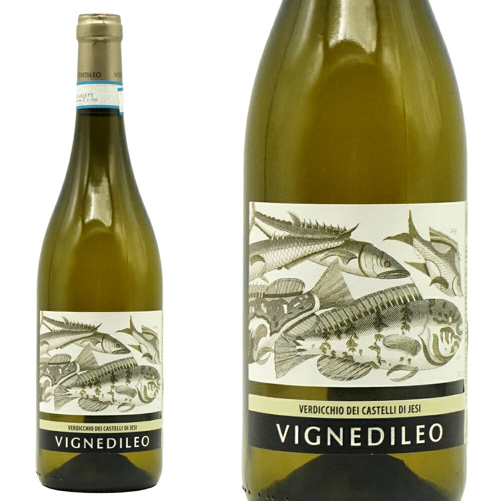 ■商品名ヴェルディッキオ・デイ・カステッリ・ディ・イエージ・クラッシコ(古代魚ラベル)[2024]年・ヴィニェディレオ(トレ・カステッリ)(エマニュエル＆ジャンフィリッポ・パルパチェッリ家)・ヴェルディッキオ種100%・DOC ウェルディッ...