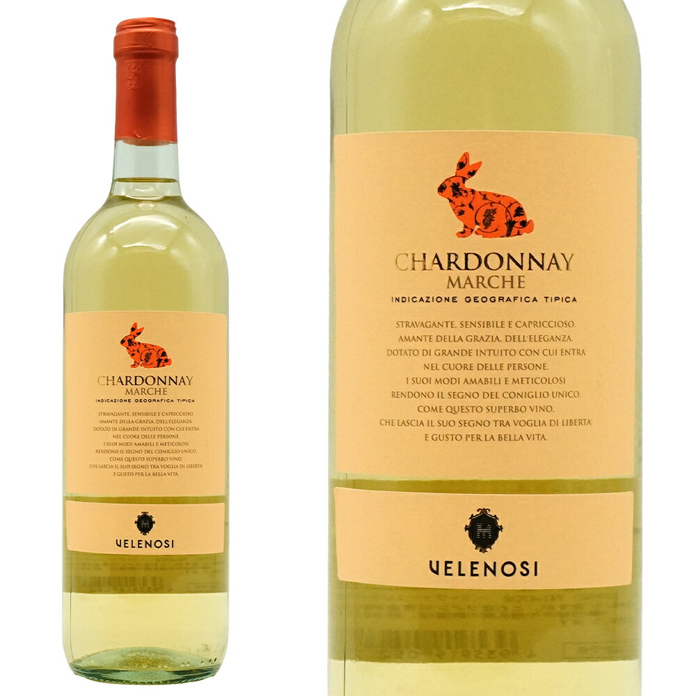 &nbsp; ■ワイン名 ヴィッラ・アンジェラ・シャルドネ[2024]年・ヴェレノージ社元詰・シャルドネ100％・IGTマルケ・シャルドネ ■英語表記 Villa ANGELA Marche Chardonnay [2024] Veleno...