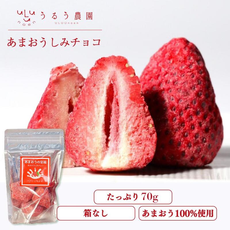 商品情報名称あまおうしみチョコ産地名国内産(福岡県産)内容量約70g保存方法常温備考乳成分大豆で柔らかくなったチョコレートは冷えて固まるて白くなることがあります。風味の面では劣りますが、健康への害は差し支えありません。販売者株式会社うるう農...