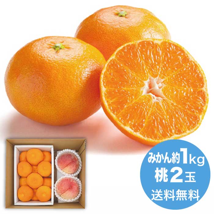 お支払いが完了してからの商品手配となりますので、前払決済の場合は翌日までにご入金を完了してくださいご入金の確認が取れない場合、配送指定日を承ることができない場合がございます こちらの商品は「直送商品」となります。ご着金及び決済確認後、6～1...