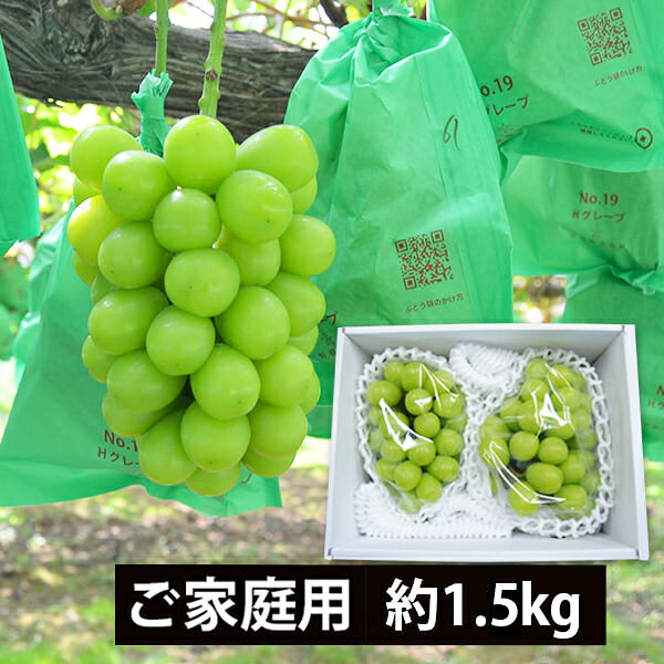名称 ぶどう（シャインマスカット） 内容量 約1.5kg(2房) 産地 山形県天童市 生産者 山形てんどう佐藤果樹園（山形県天童市） のし 対応可 お届け時期 9月中旬～10月上旬 ※発送が始まってからのご注文の場合は、ご注文・ご入金から1...
