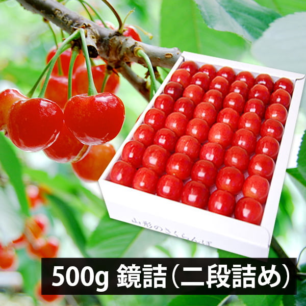 名称 さくらんぼ（佐藤錦） 内容量 さくらんぼ佐藤錦鏡詰（並び詰め）500g※天災などの影響により、やむを得ず他の品種による同等品をご用意させていただく場合がございます。その際は事前にご連絡いたしますので、何卒ご理解いただけますようお願い申...