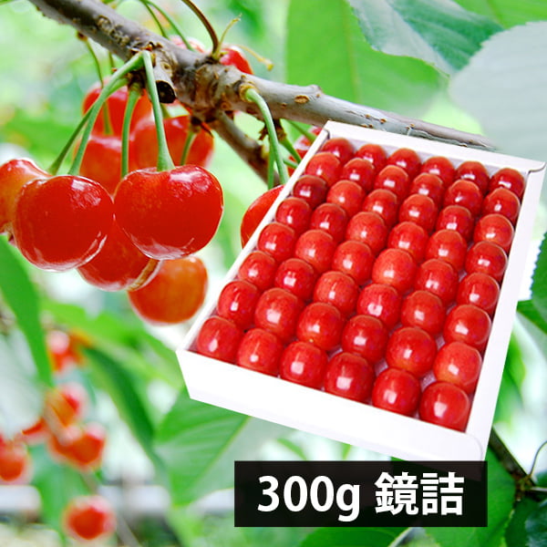 名称 さくらんぼ（佐藤錦） 内容量 さくらんぼ佐藤錦鏡詰（並び詰め）300g※天災などの影響により、やむを得ず他の品種による同等品をご用意させていただく場合がございます。その際は事前にご連絡いたしますので、何卒ご理解いただけますようお願い申...